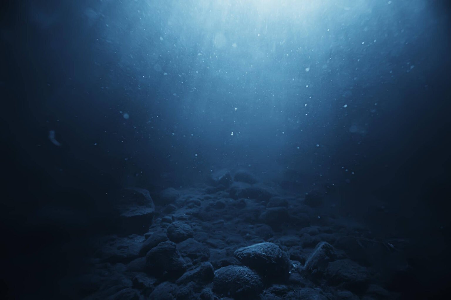 Neptune in Astrology