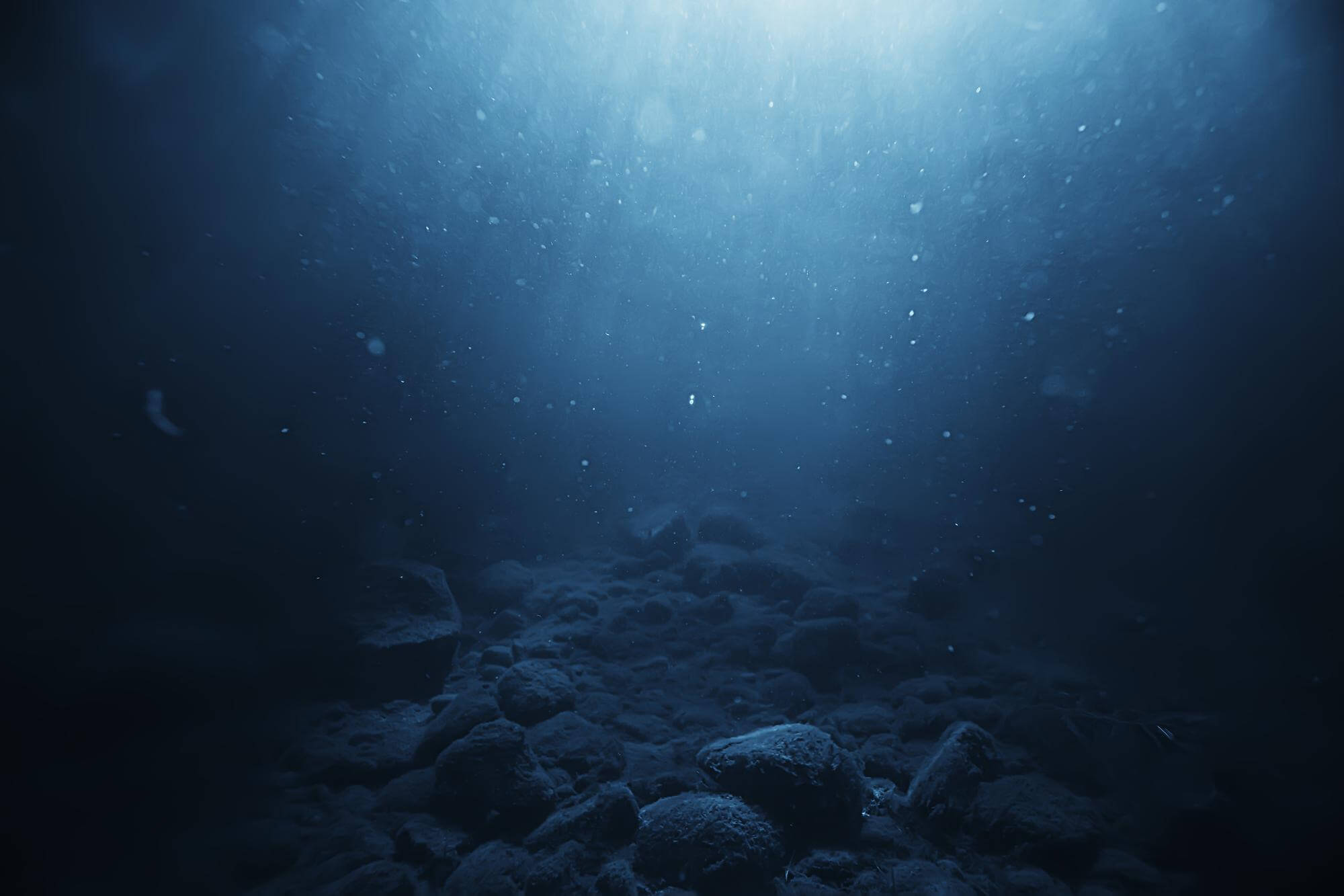 Neptune in Astrology